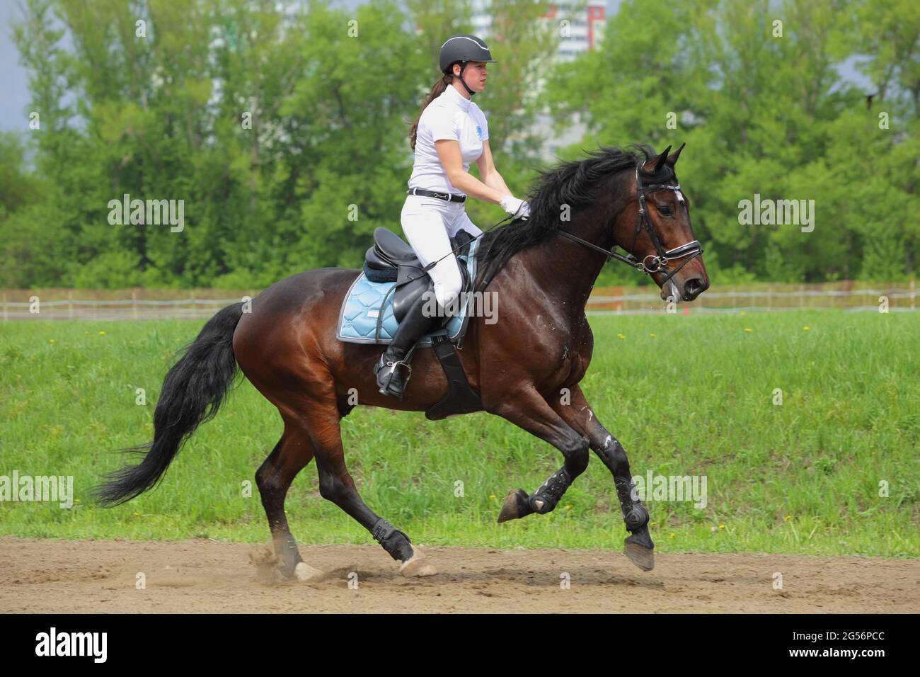 Equestrian model girl riding sportive dressage horse in summer fields ...