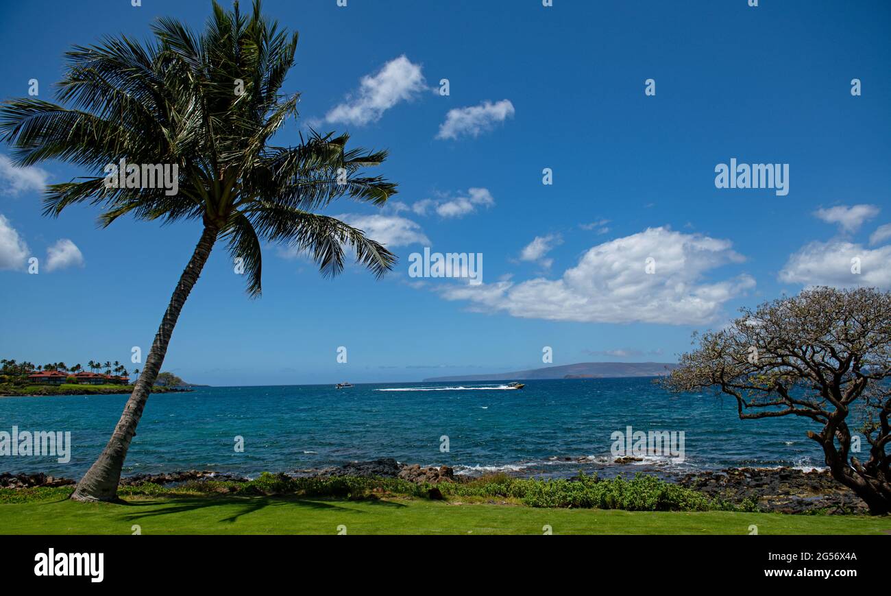 Hawaiian beach background. Enjoying paradise in Hawaii. Panorama ...