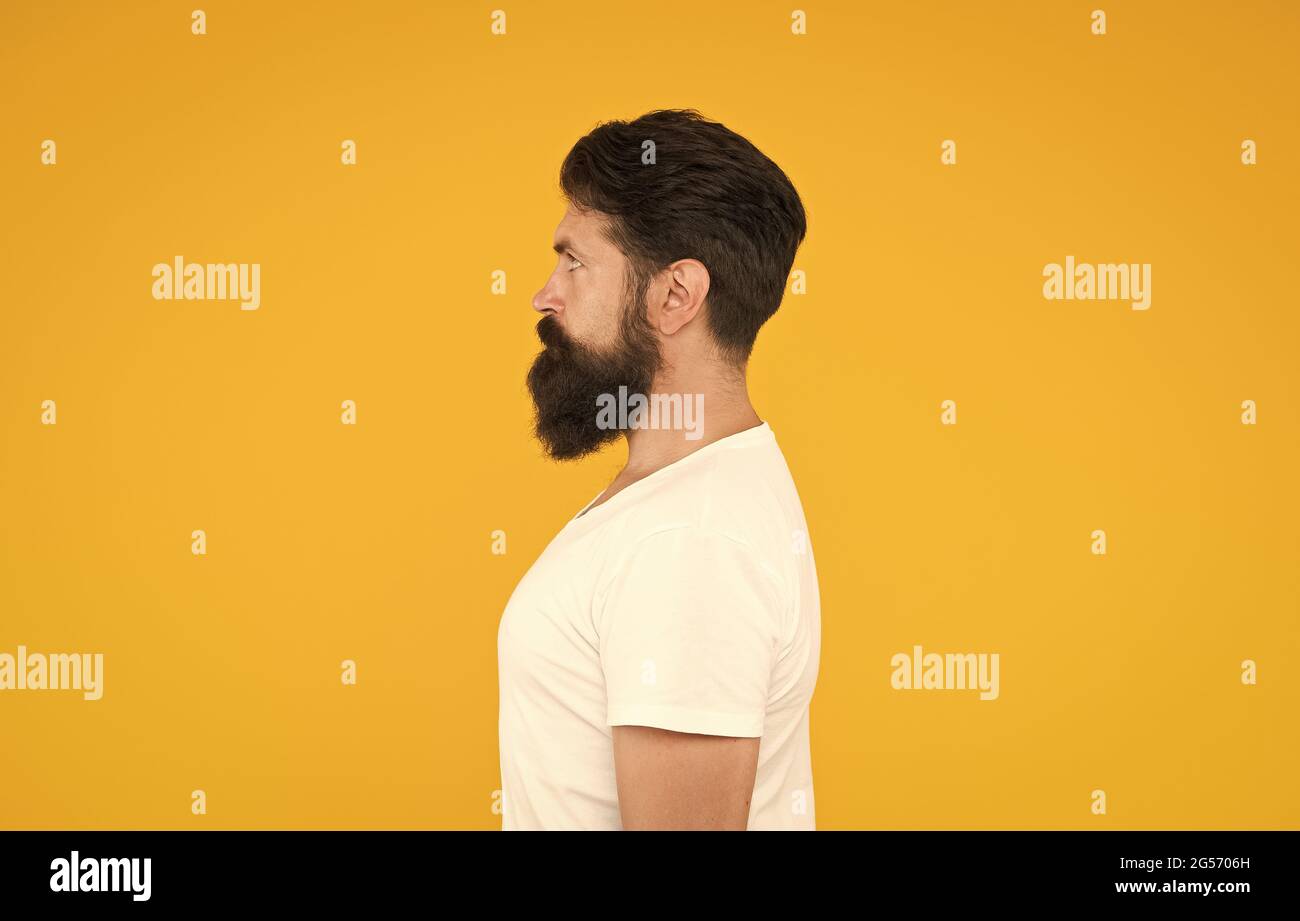 Bushy beard hipster man barbershop client yellow background, perfect ...