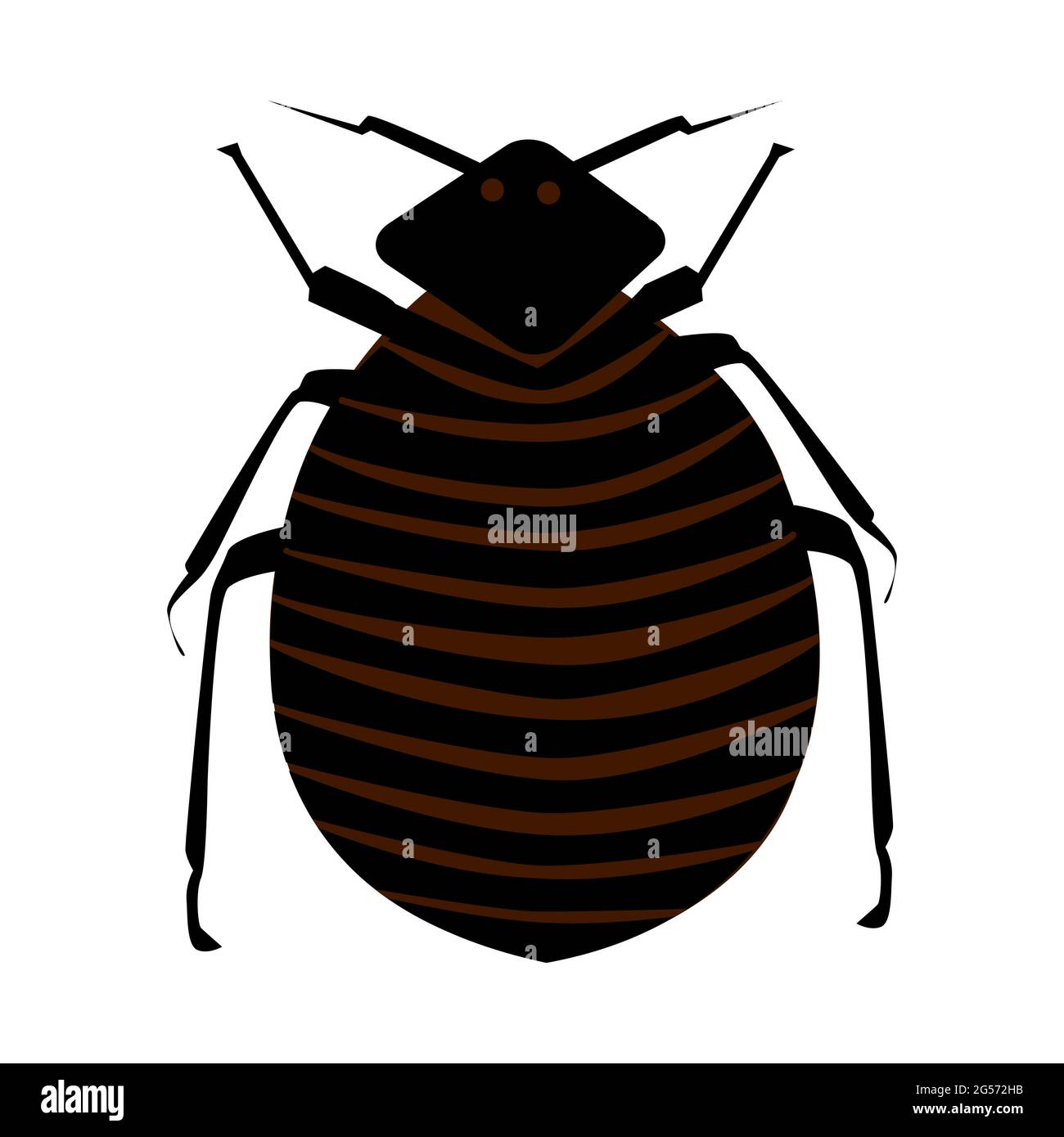 Flea isolated on white background. Cartoon insect pest. Black common ...