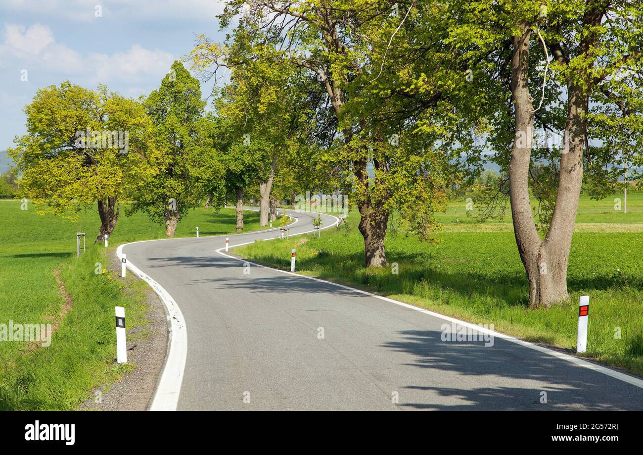 spring time or springy alley and road, beautiful springtime view Stock ...