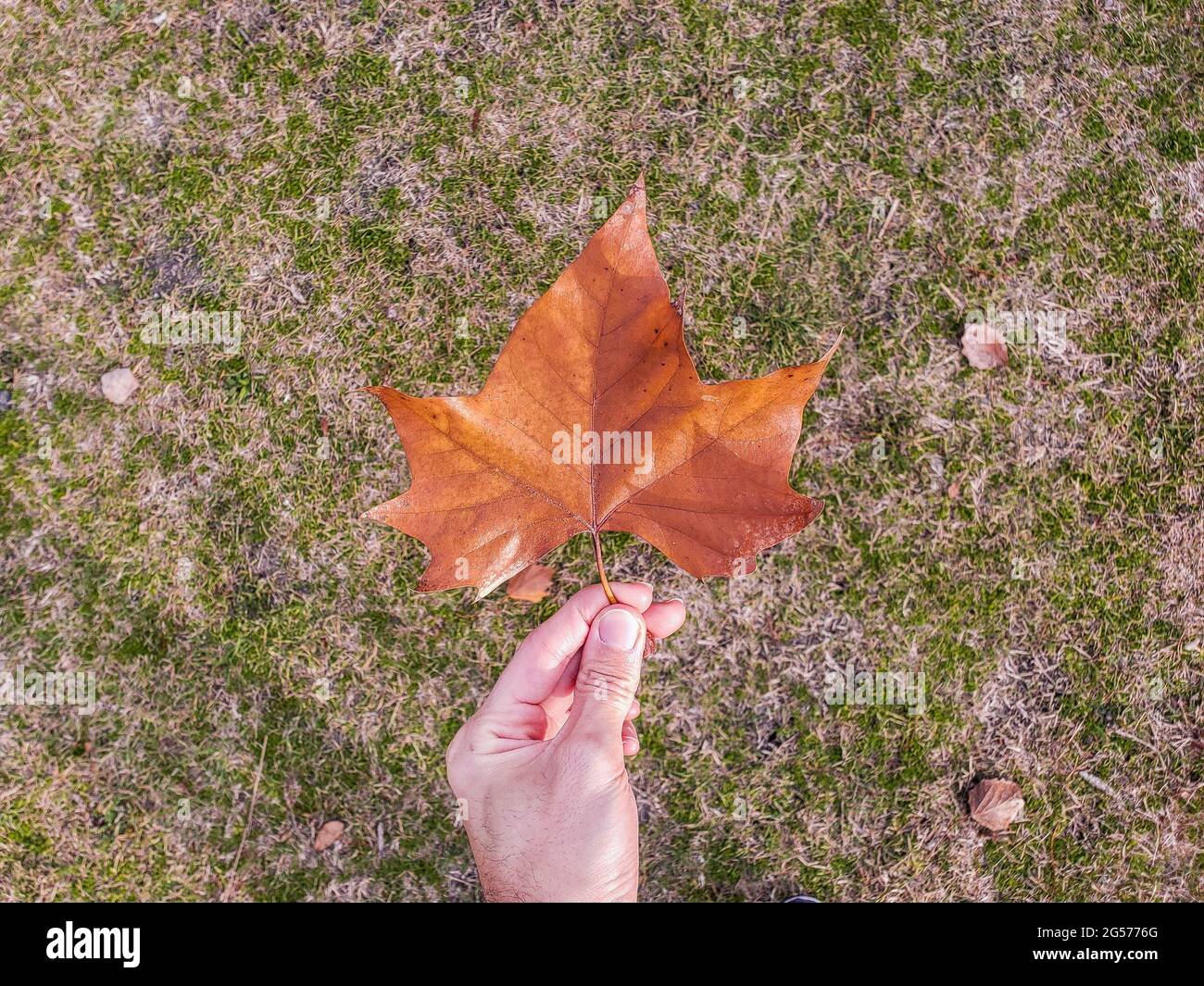 Top view single man hi-res stock photography and images - Alamy