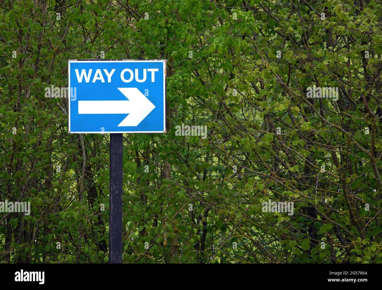 Way out traffic sign in blue and white colors Stock Photo - Alamy