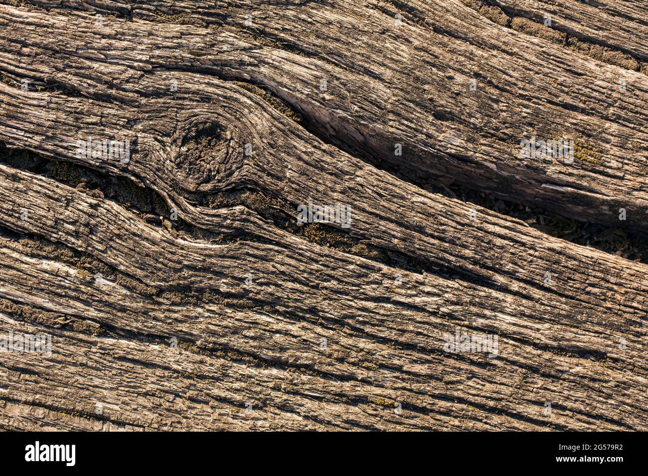 Close up background texture of the surface of a wooden bench ...