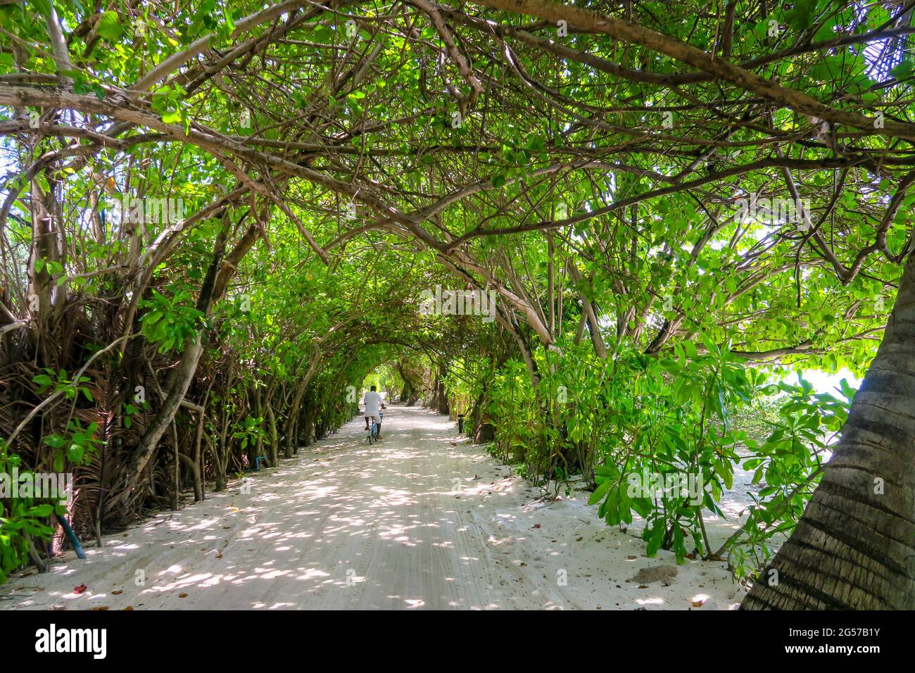Bike riding down a path in South Ari Atoll, Maldives Stock Photo - Alamy