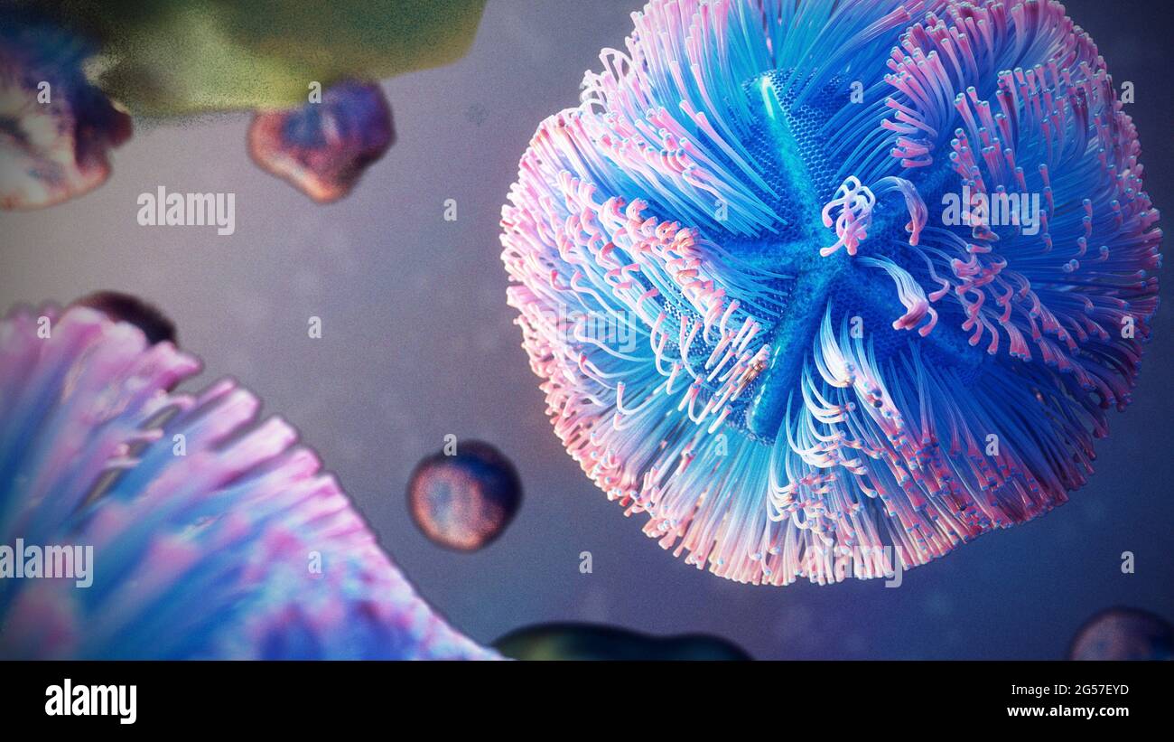 Giant virus structure hi-res stock photography and images - Alamy