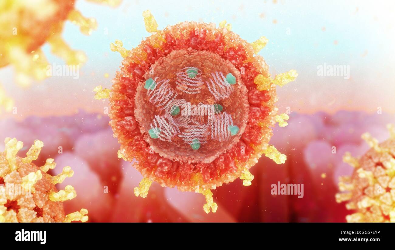 Rotavirus structure hi-res stock photography and images - Alamy