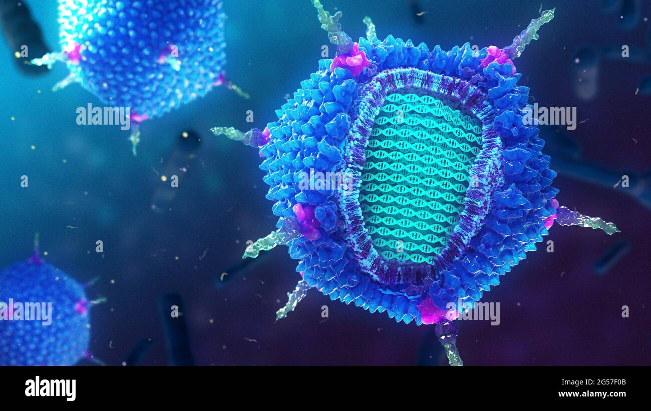 PRD1 bacteriophage, illustration Stock Photo - Alamy