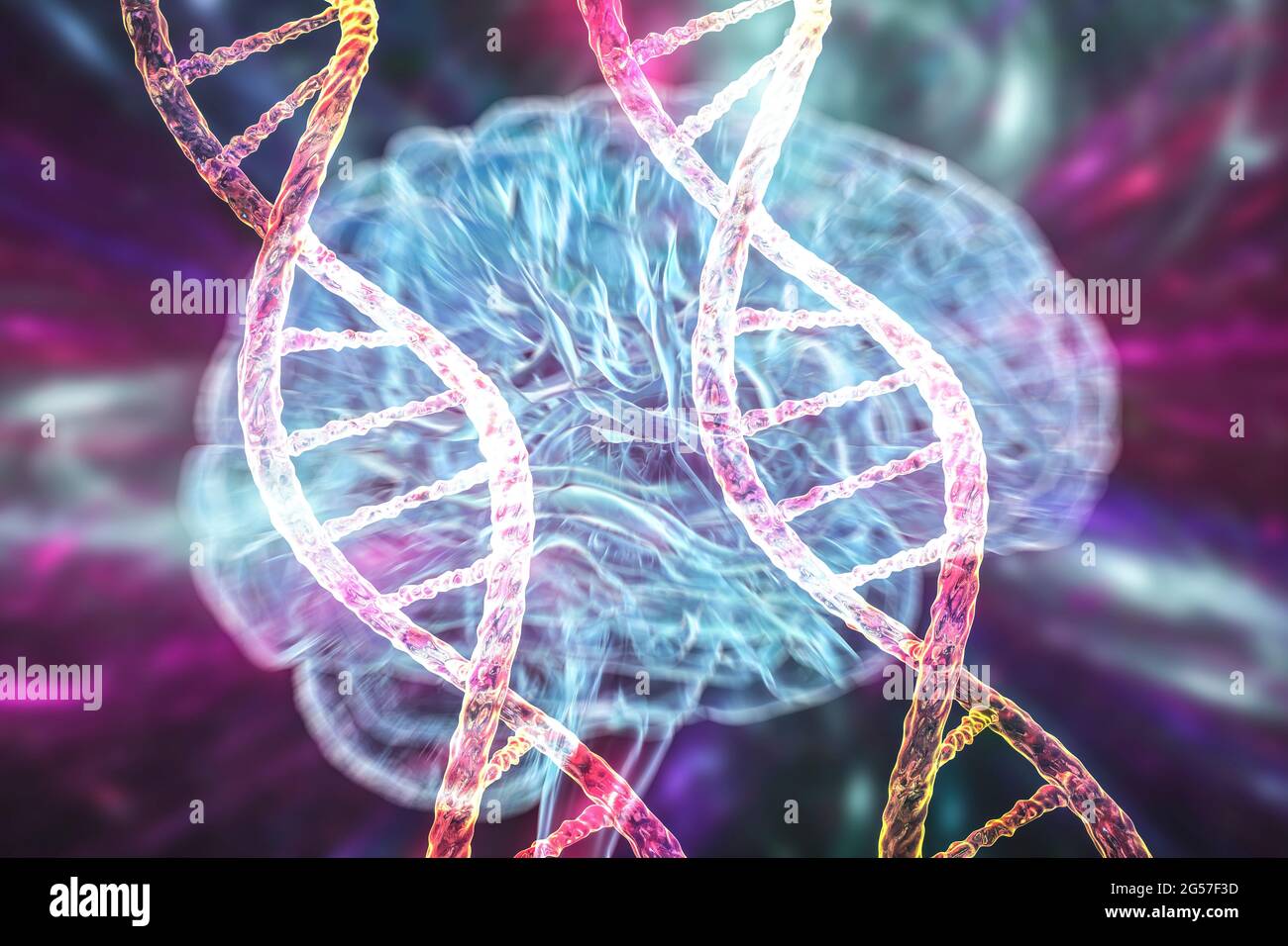 Genetic brain disorders, conceptual illustration Stock Photo - Alamy