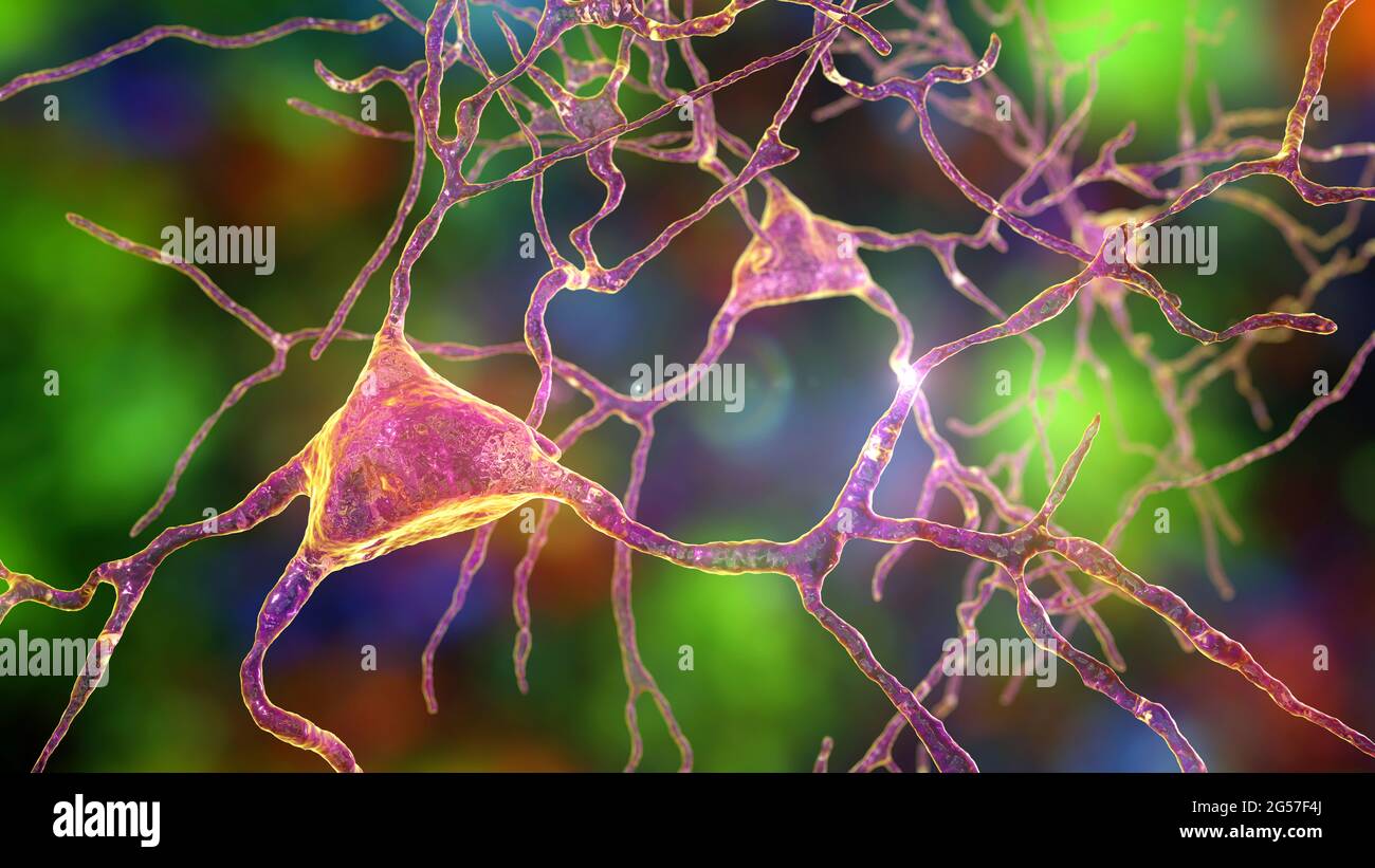 Healthy neuron hi-res stock photography and images - Alamy