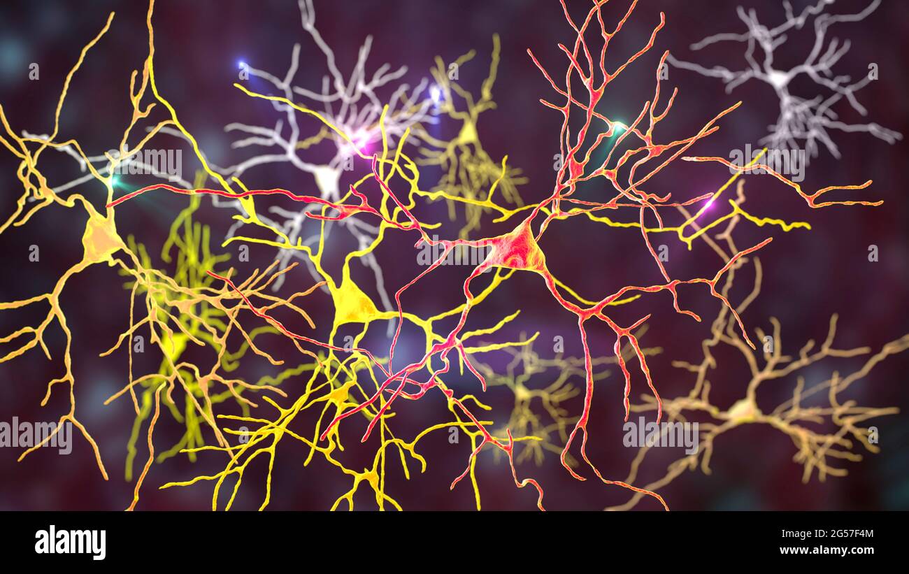 Healthy neuron hi-res stock photography and images - Alamy