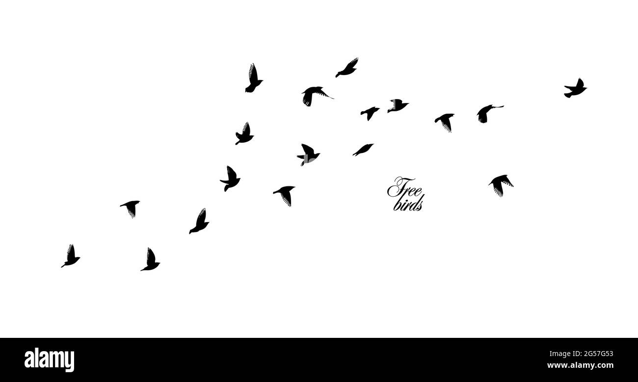 A flock of flying birds. Vector illustration Stock Vector Image & Art ...