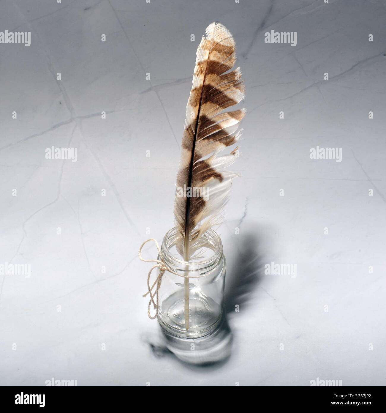 Vertical shot of a single owl feather in a tiny glass jar Stock Photo ...