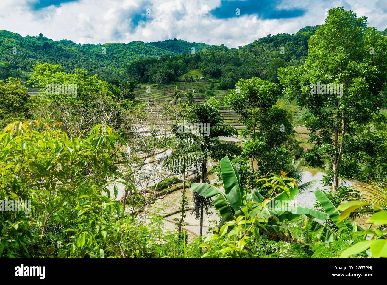 Jungle farming hi-res stock photography and images - Alamy