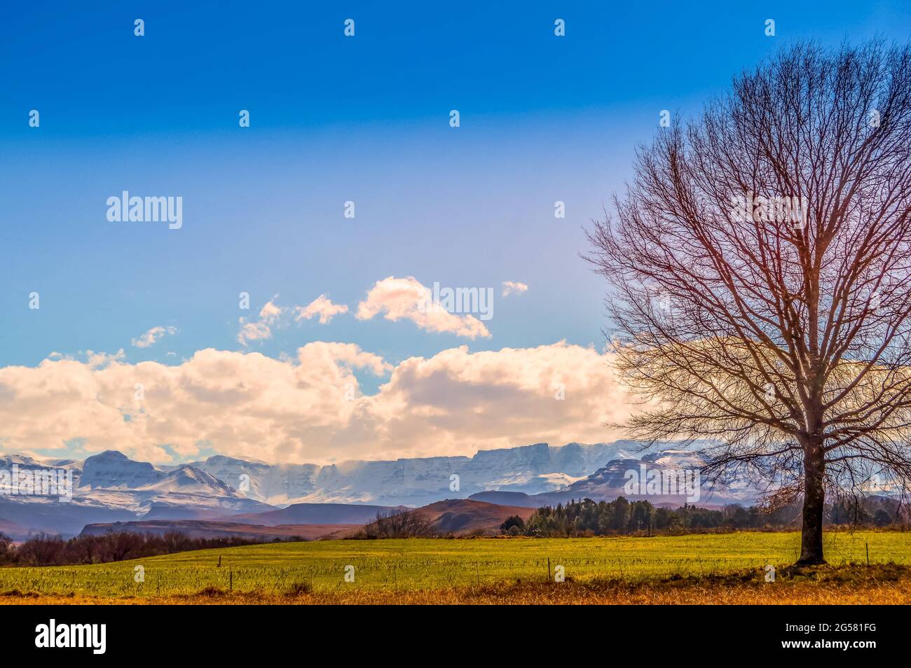 Snow covered Drakensberg mountains in underberg south Africa Stock ...