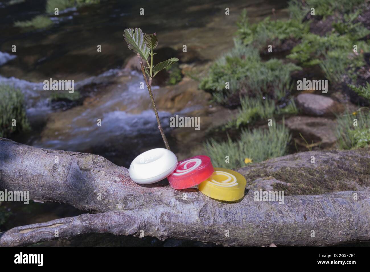 Closeup shot of round decorative soaps on wood near a river Stock Photo ...