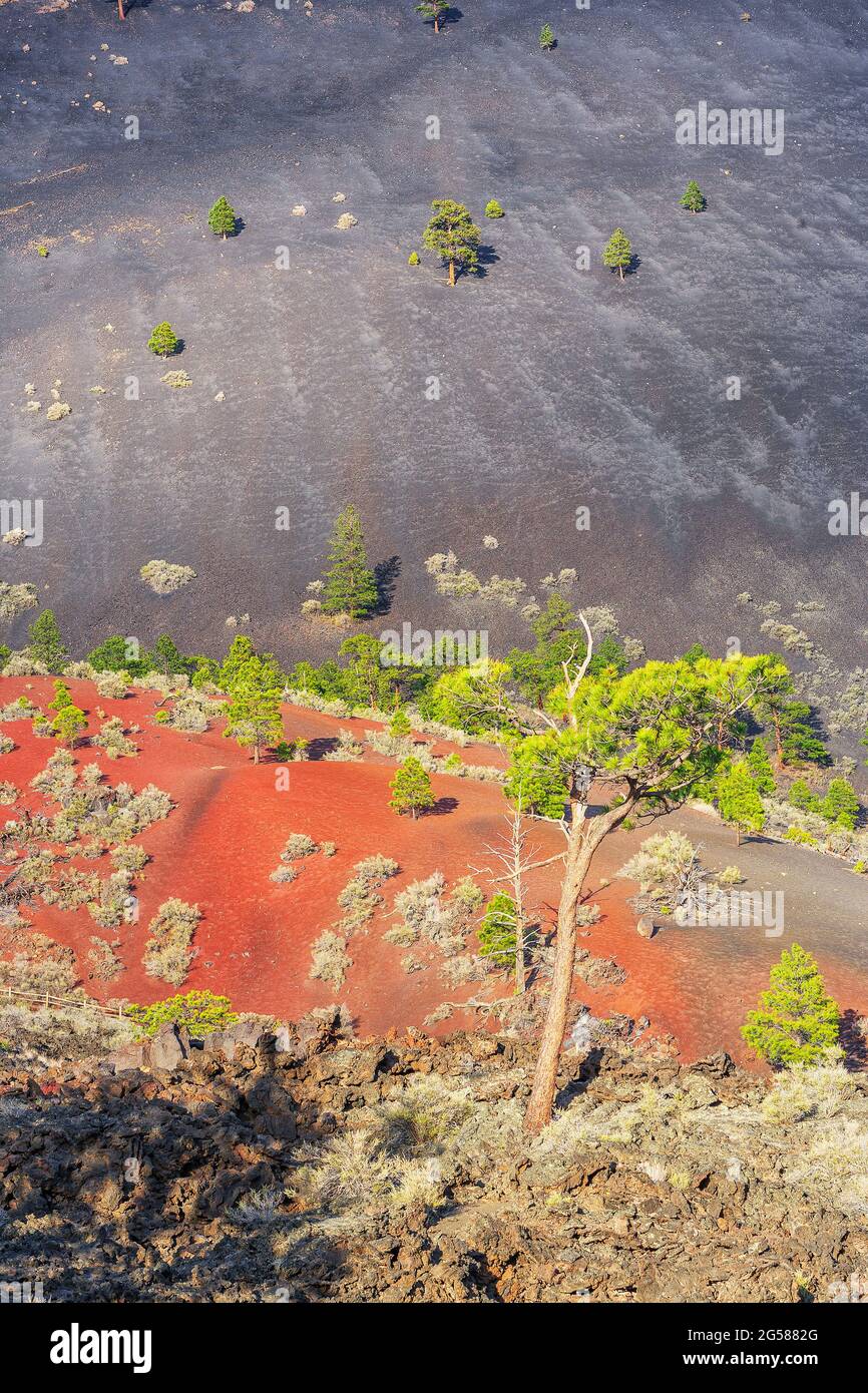 Sunset crater volcano national monument hi-res stock photography and ...