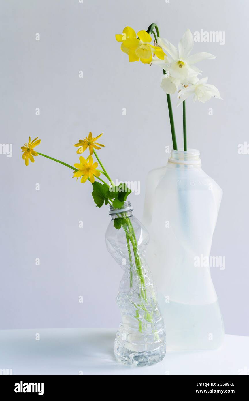 Spring flowers in crushed recycled plastic bottles Stock Photo - Alamy