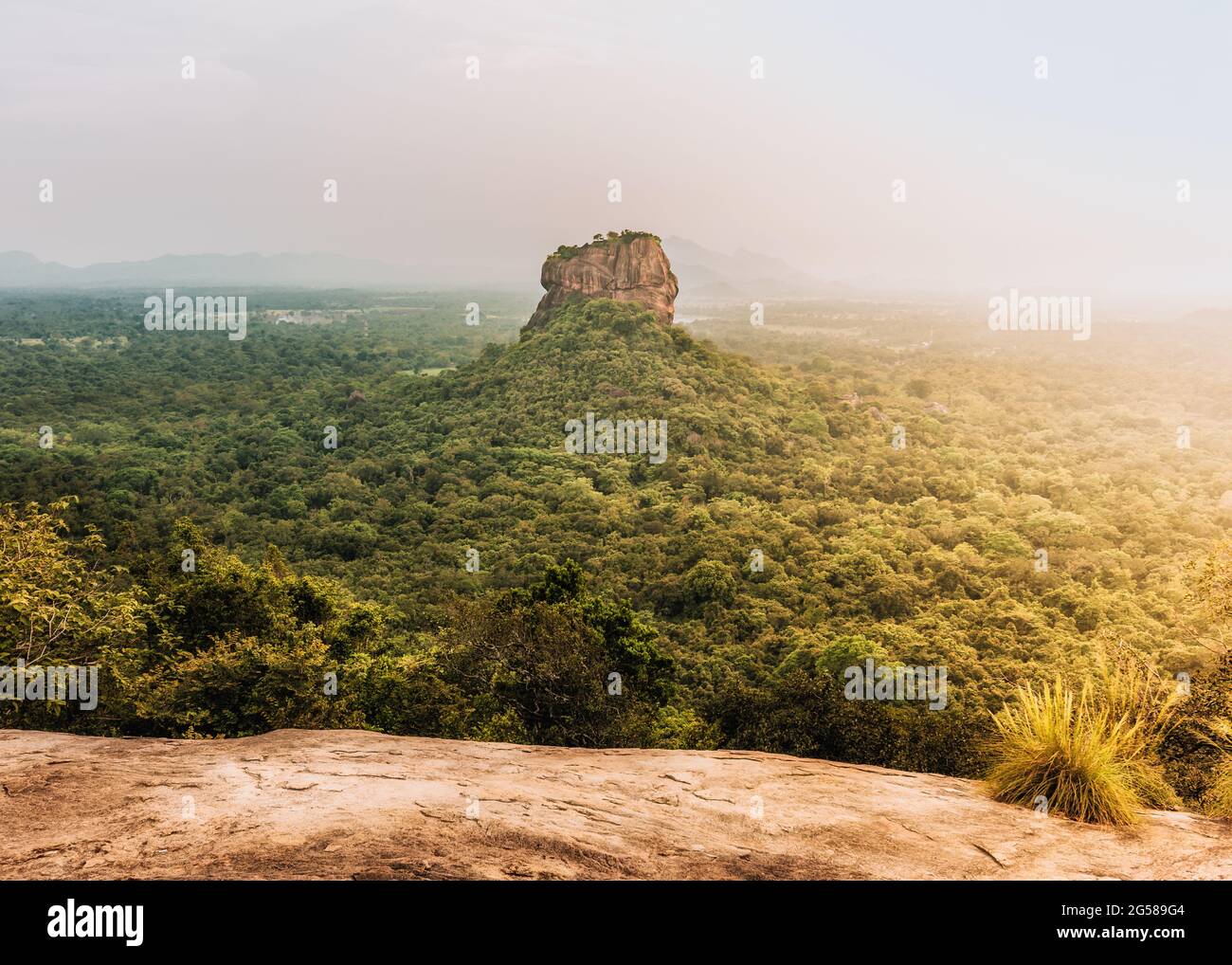 Beautiful landscape of Pidurangala Rock and forest in Dambulla, Sri ...
