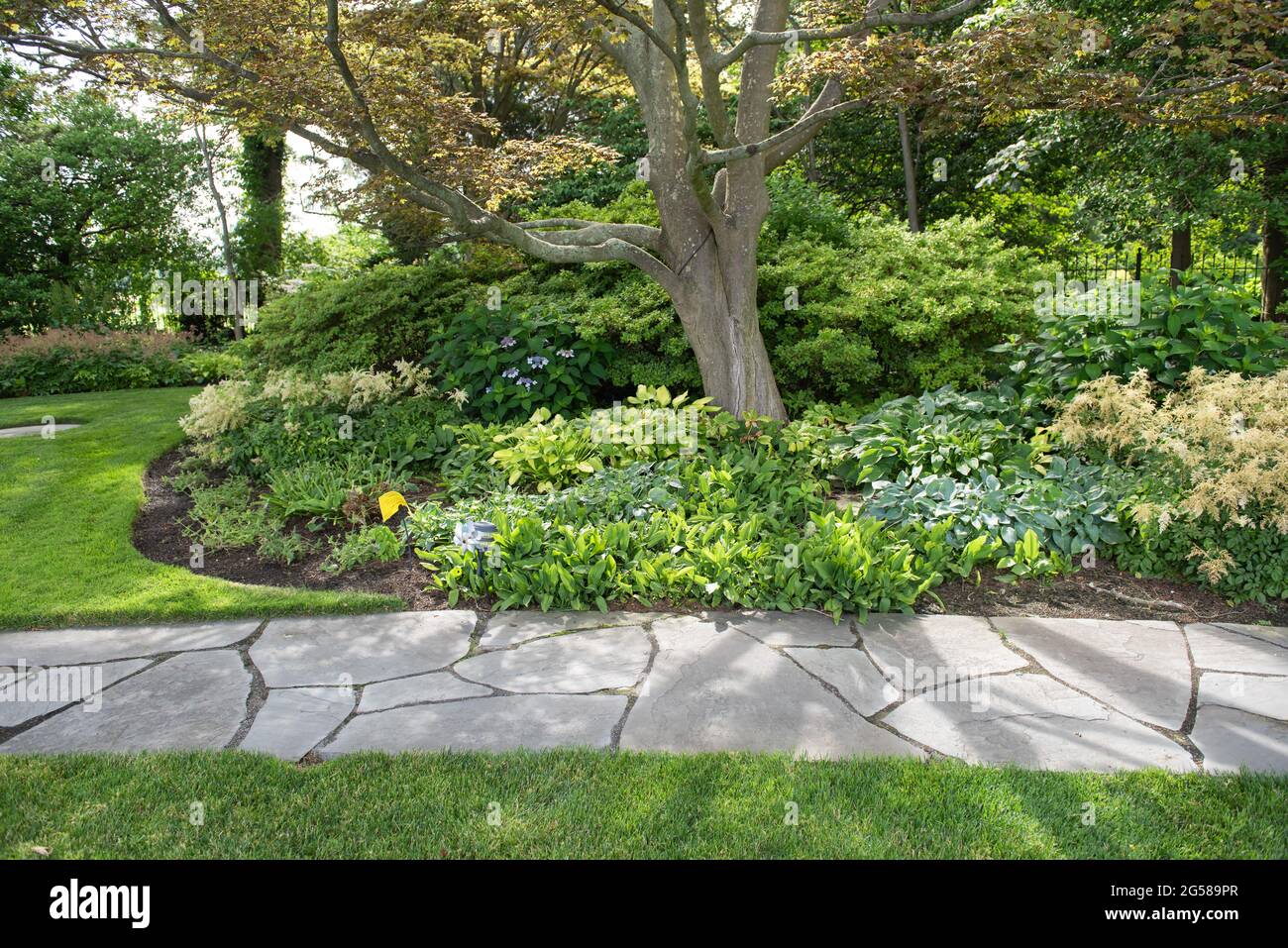 Stone pathway surrounded by lush landscaping Stock Photo - Alamy