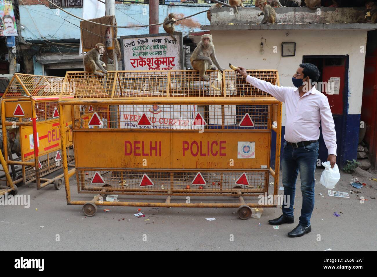 Monkey man of delhi hi-res stock photography and images - Alamy
