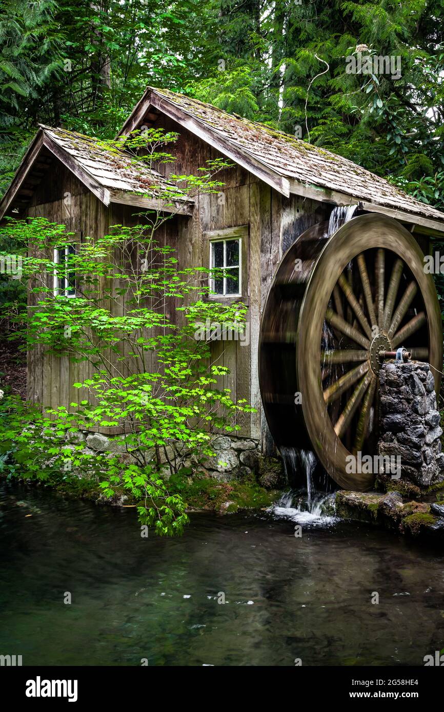 water wheel in the forest, peaceful landscape, water flowing into a ...