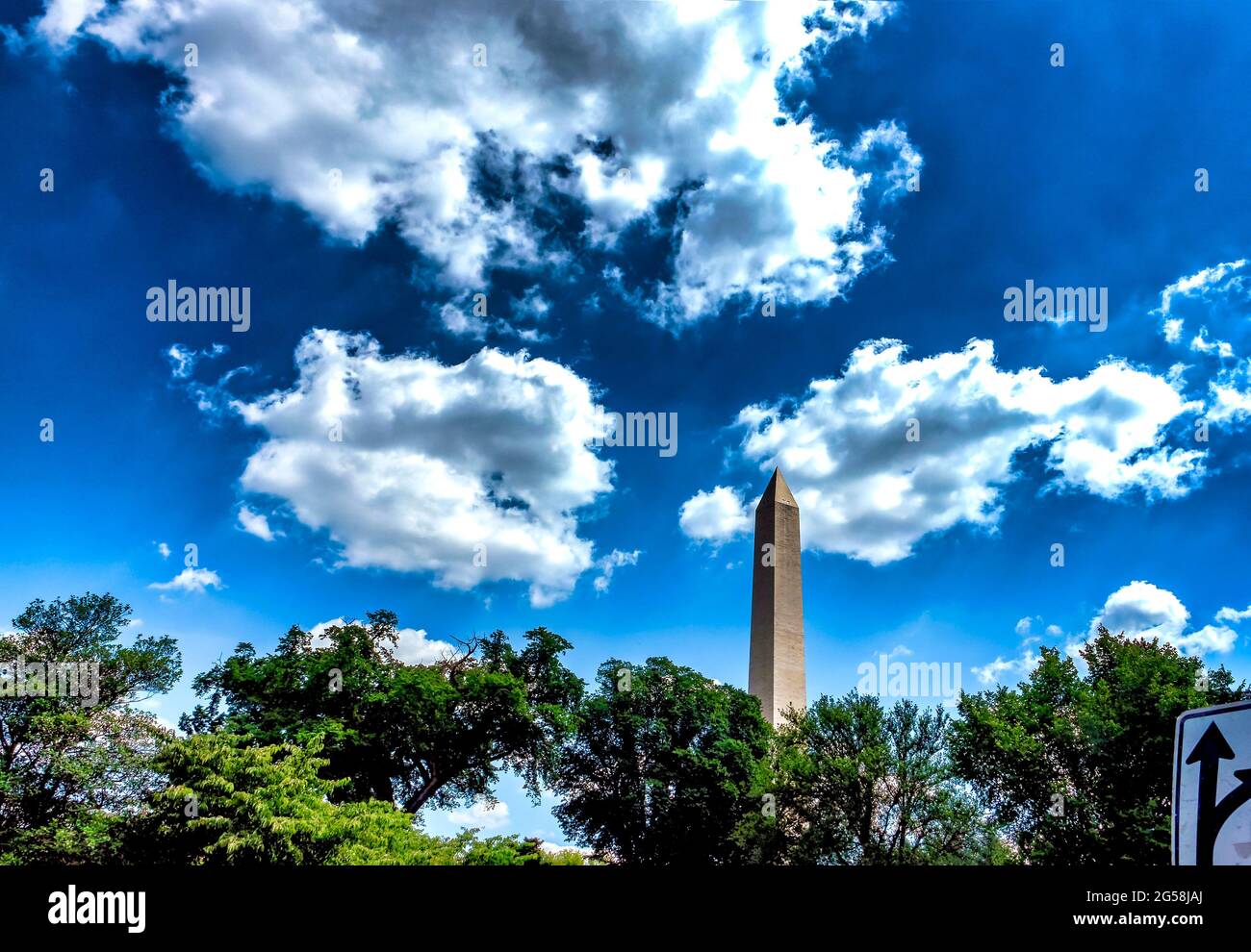 The top of the Washington Monument rises from a grove of trees on the ...