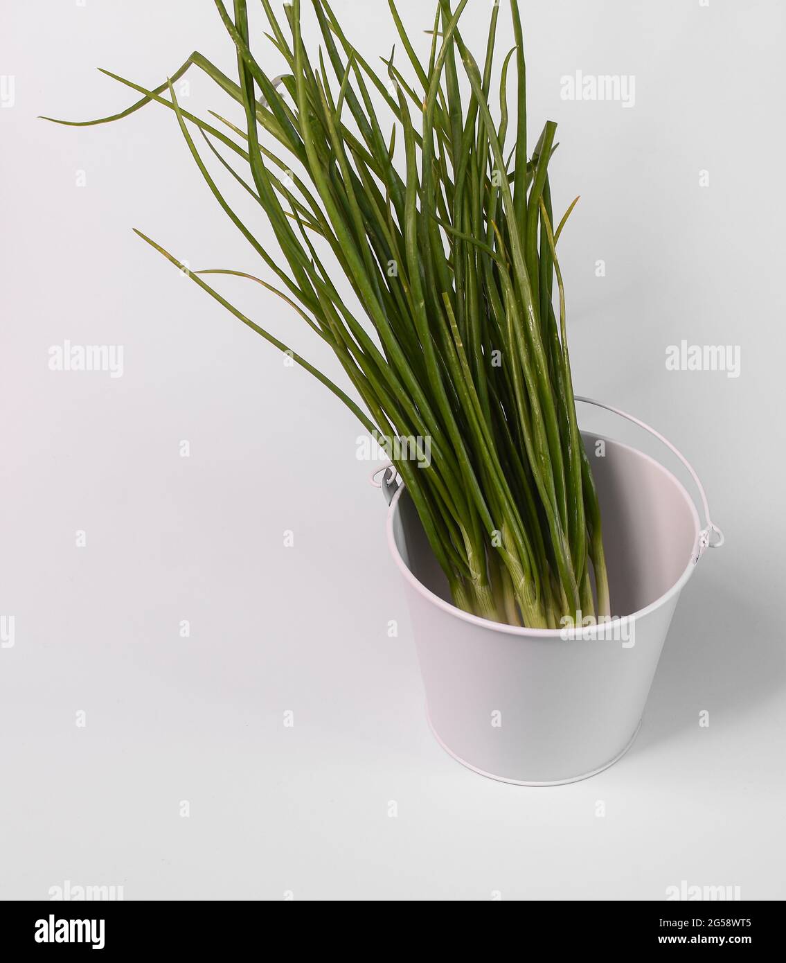 fresh spring green onions in a white bucket Stock Photo - Alamy