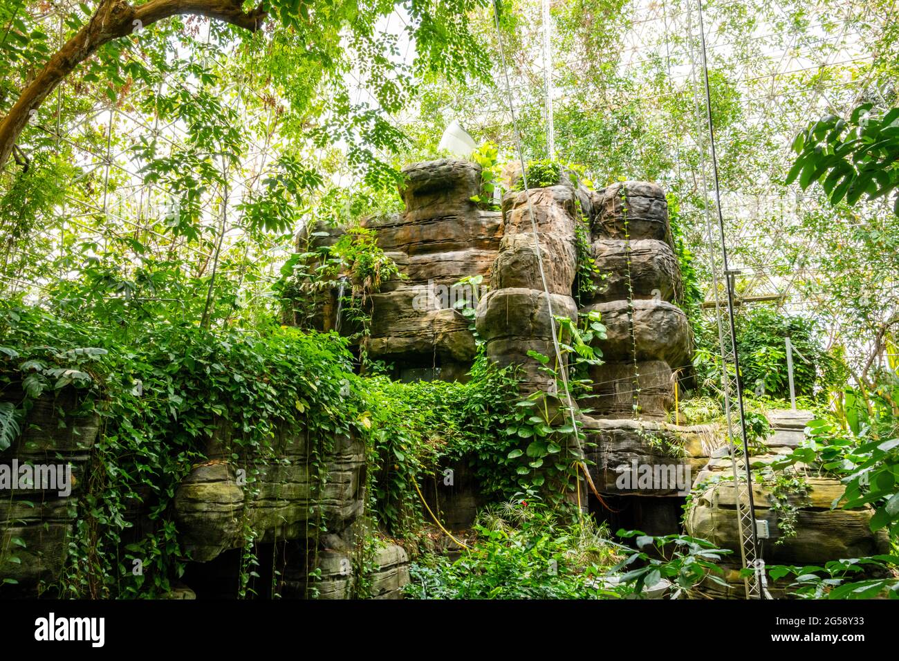 Biosphere 2 - Upper Savanna Stock Photo - Alamy