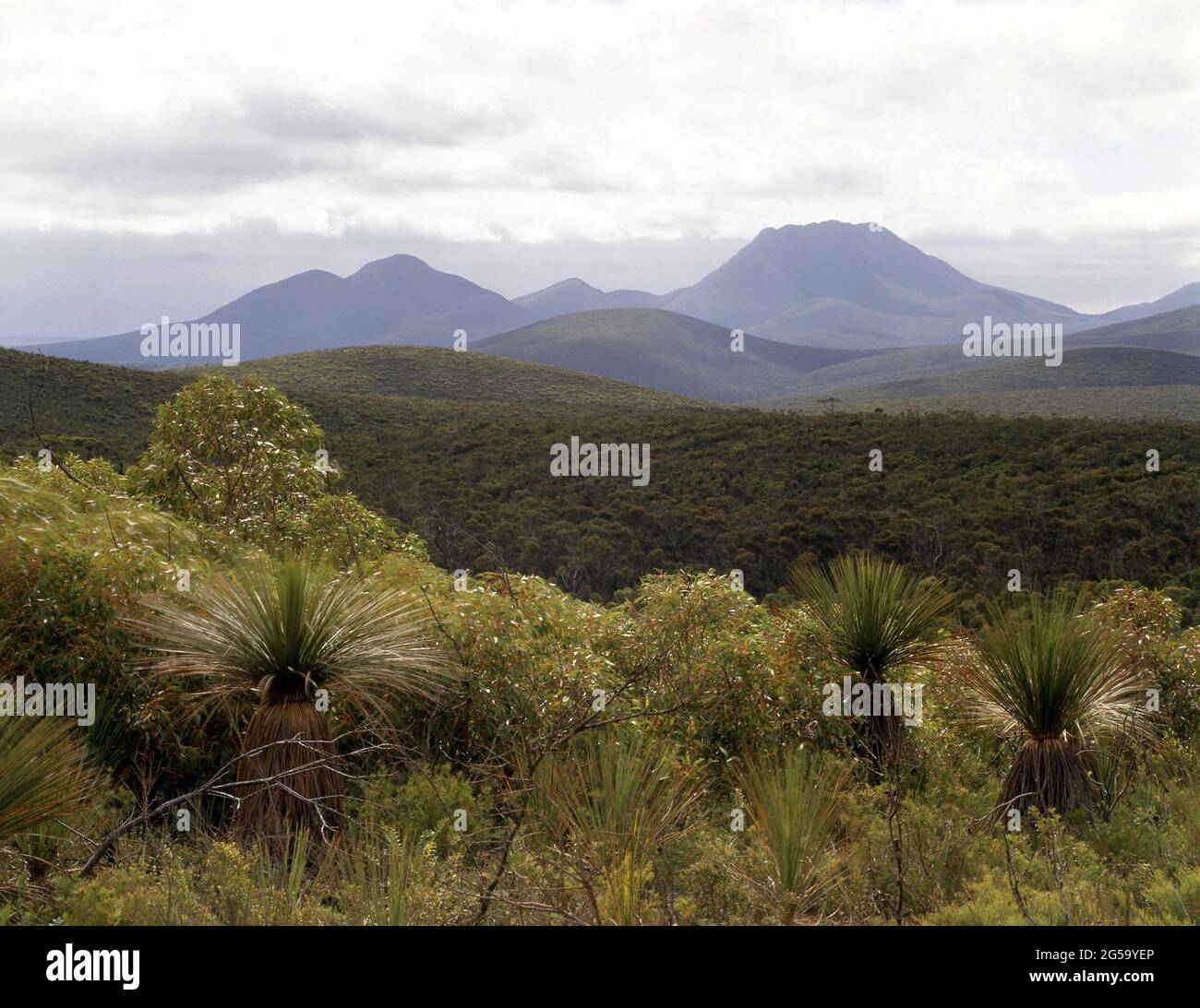 Stirling ranges hi-res stock photography and images - Alamy
