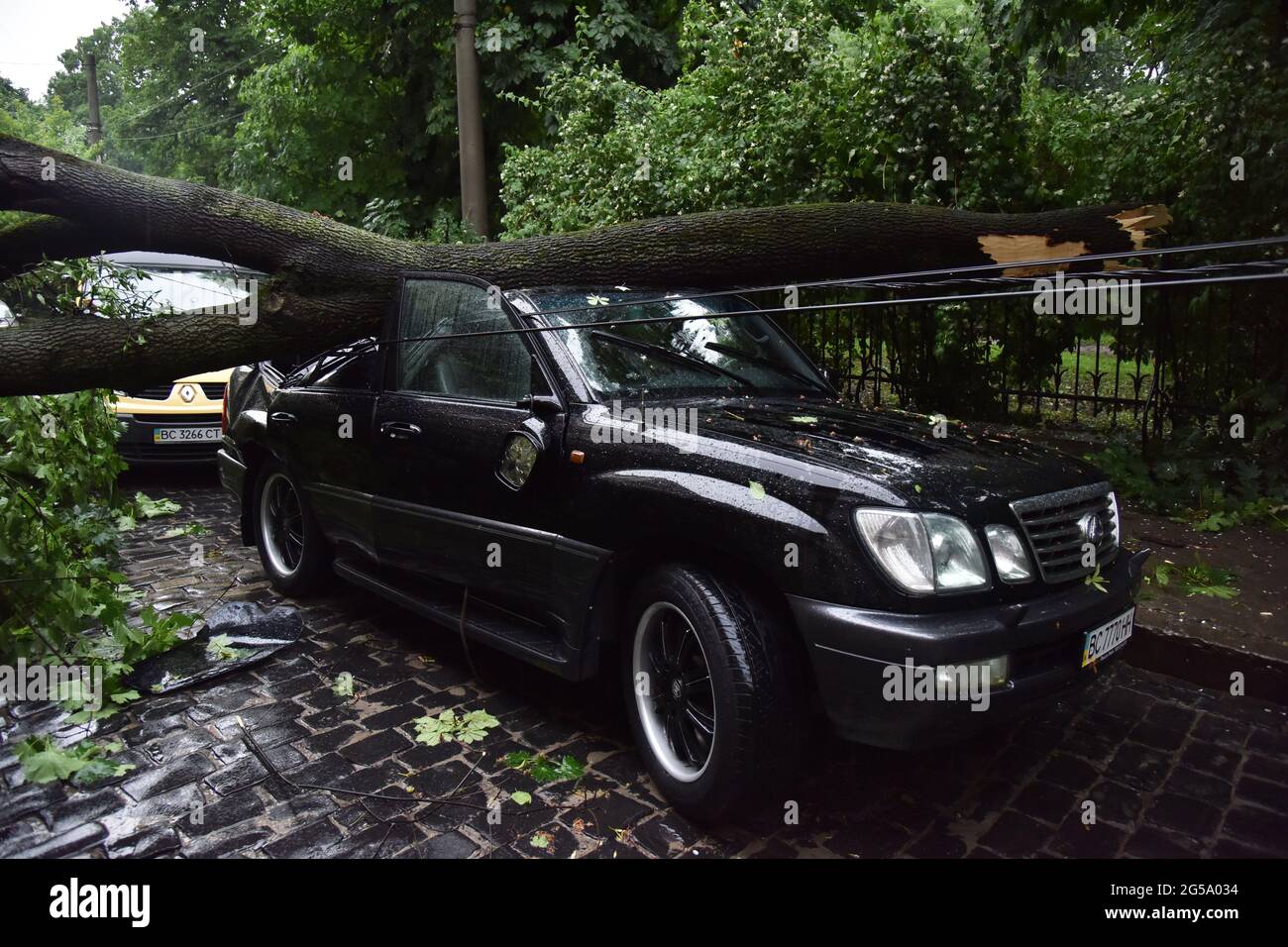 Car destroyed fallen tree hi-res stock photography and images - Alamy