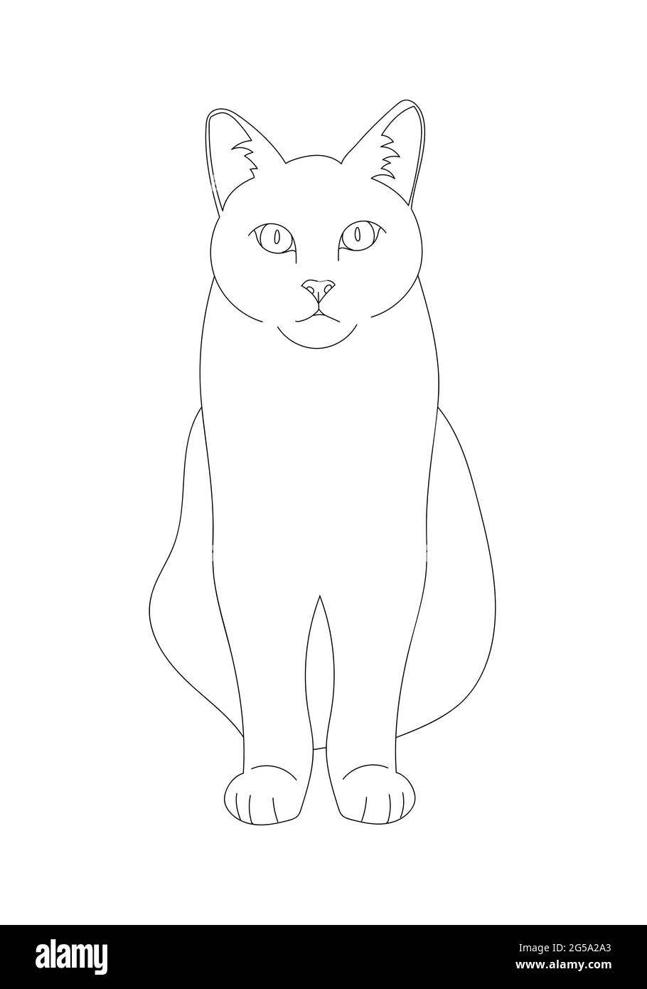 Cat Drawing Outline Realistic