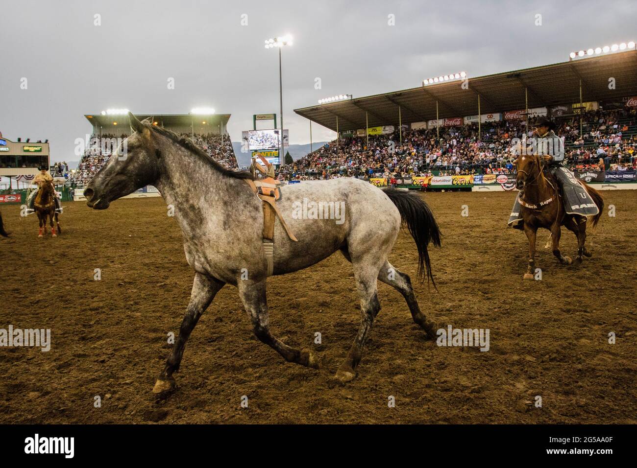 Bronc exit hi-res stock photography and images - Alamy