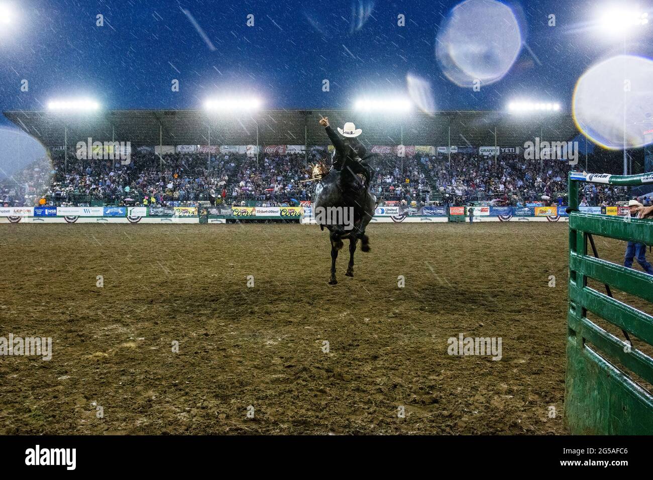 Day holman hi-res stock photography and images - Alamy