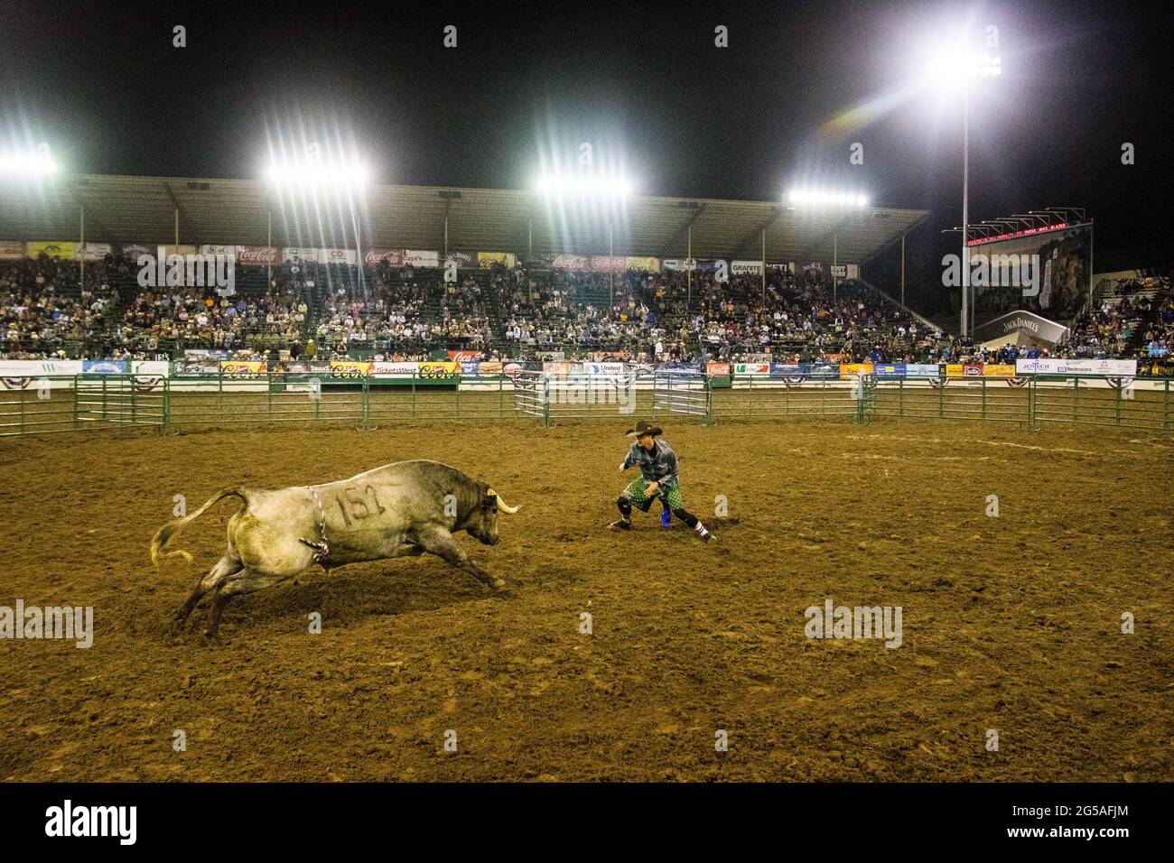 Bullfighter rodeo bull hi-res stock photography and images - Alamy