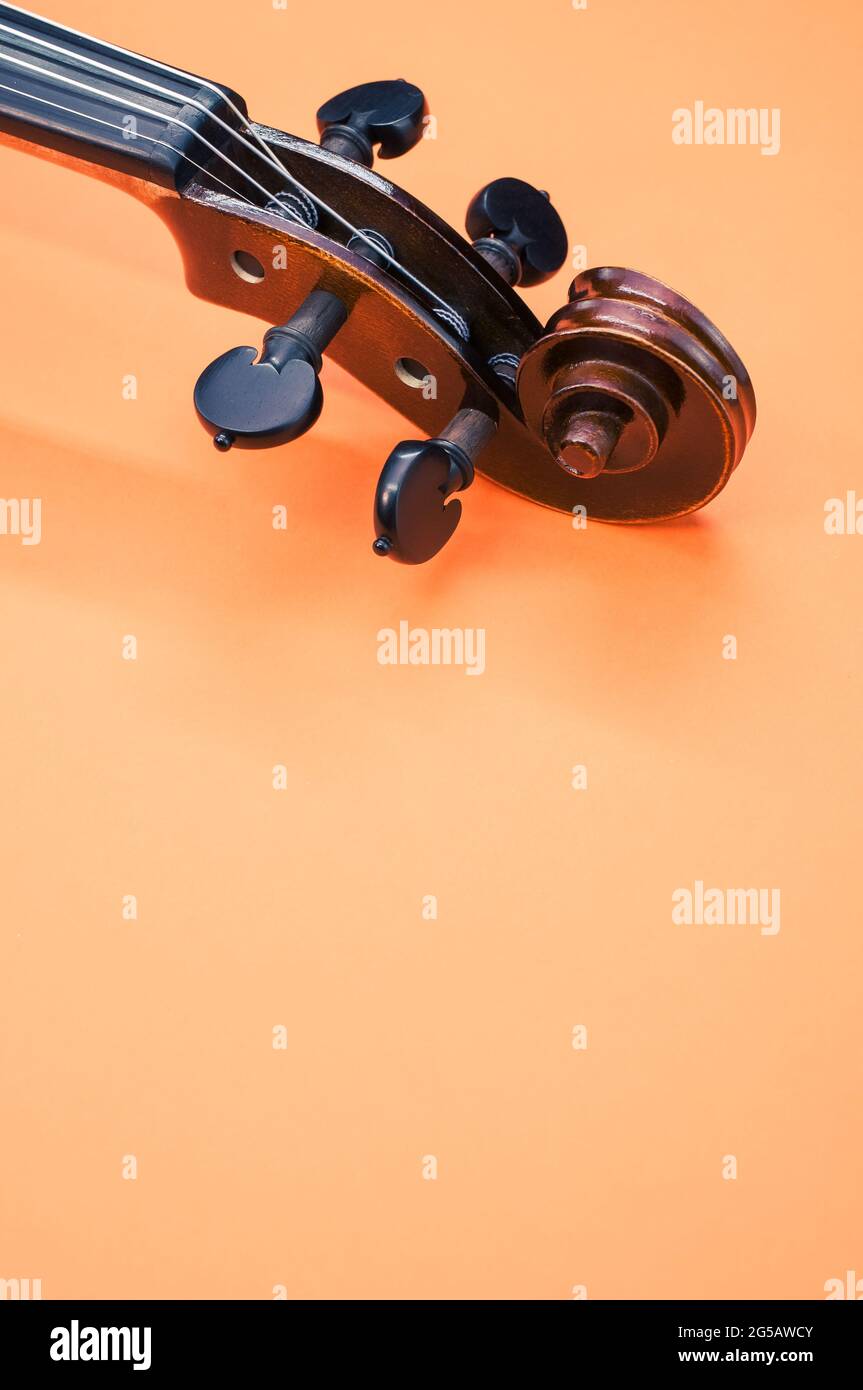 Vertical shot of the pegbox of a violin on orange background with a ...