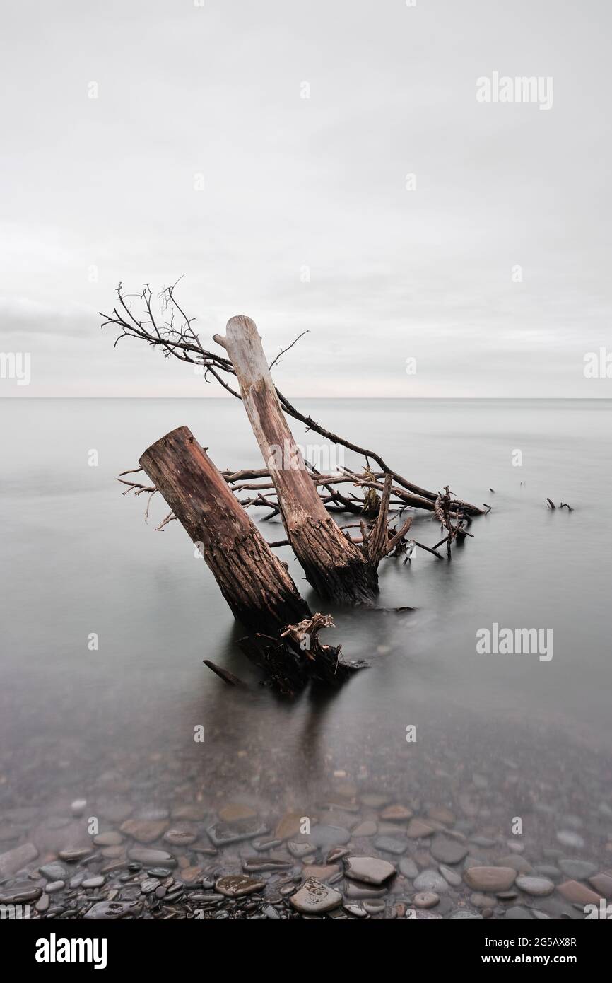 Broken log hi-res stock photography and images - Alamy