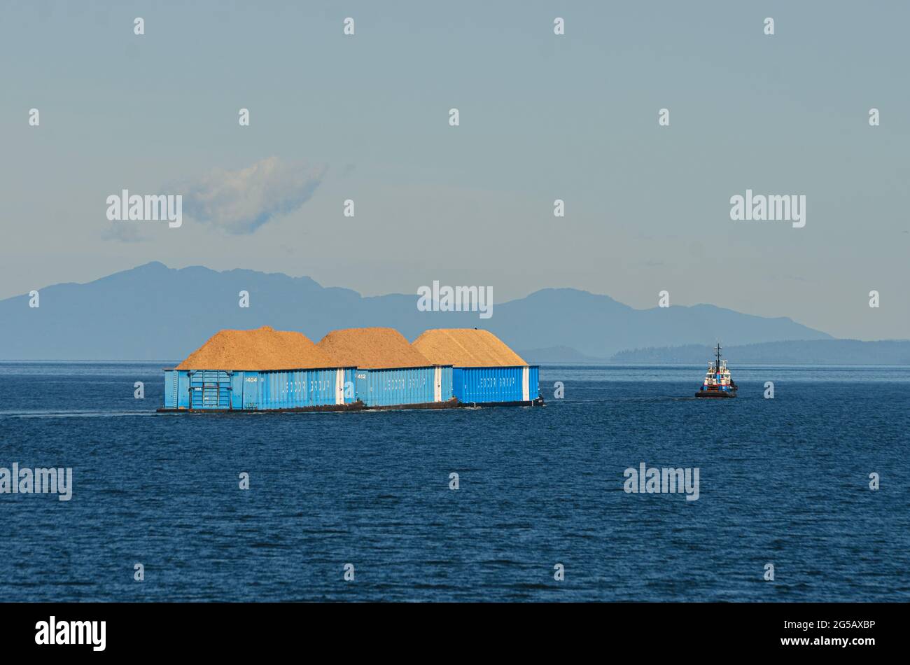 Three barges filled with load of wood chips towed by tug boat Stock ...