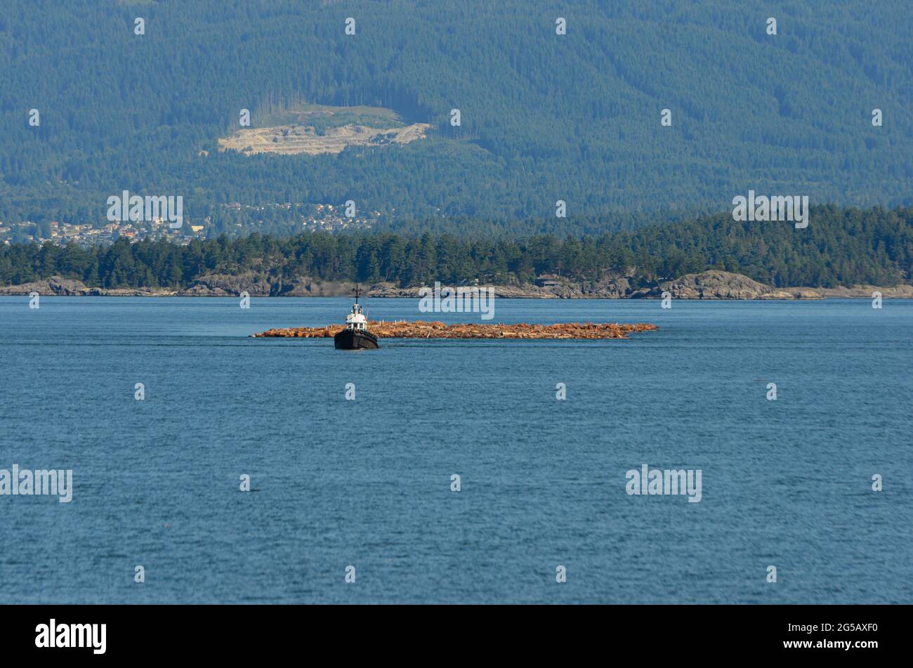 Tug boat transporting timber raft for processing Stock Photo - Alamy
