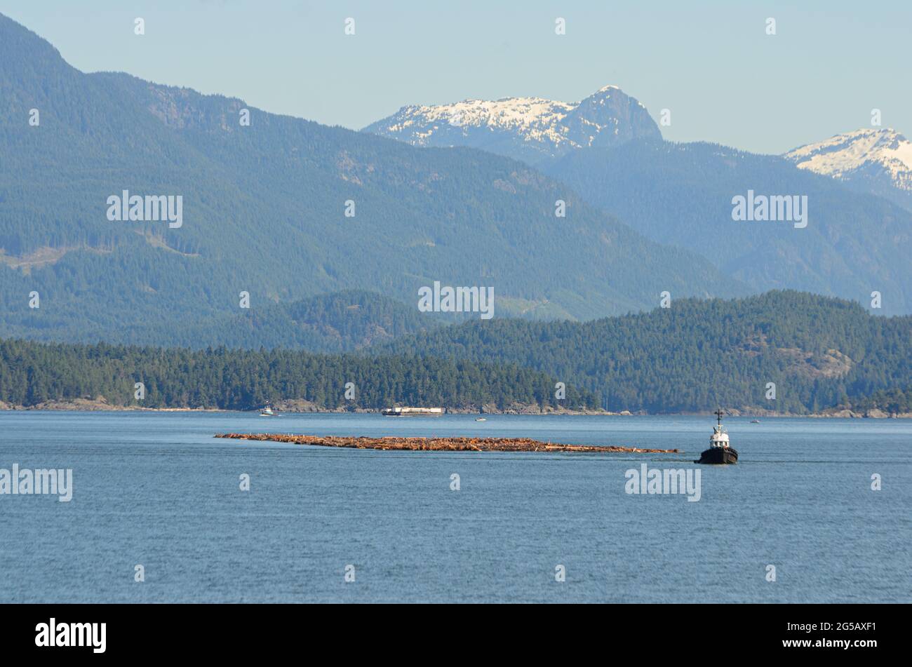 Tug boat transporting timber raft for processing Stock Photo - Alamy