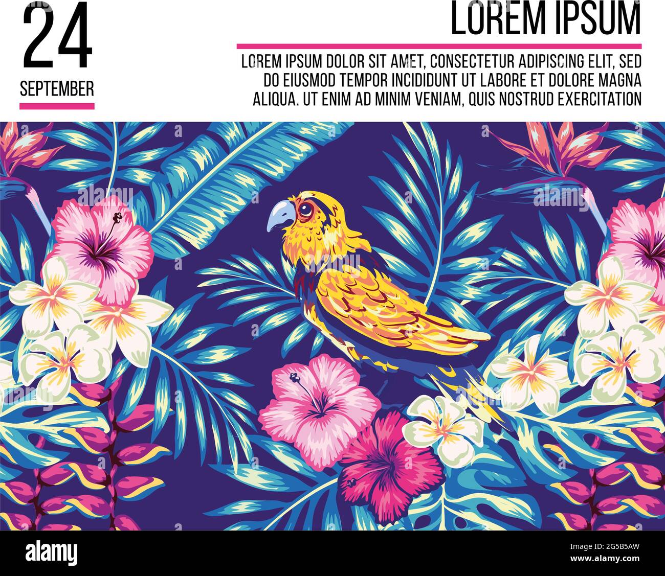 tropical patterns for banners and page and magazine layouts decorated ...
