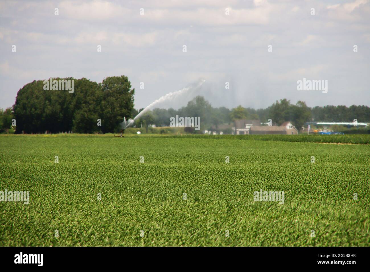 The lowest polder in the Netherlands Zuidplaspolder between Gouda and ...