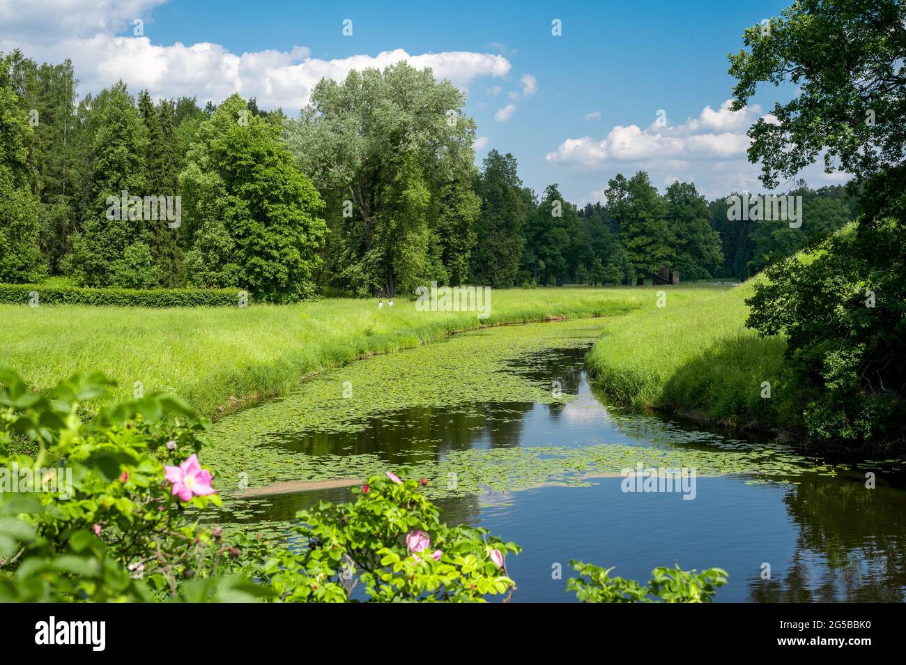 Summer green countryside nature landscape. Green nature landscape ...