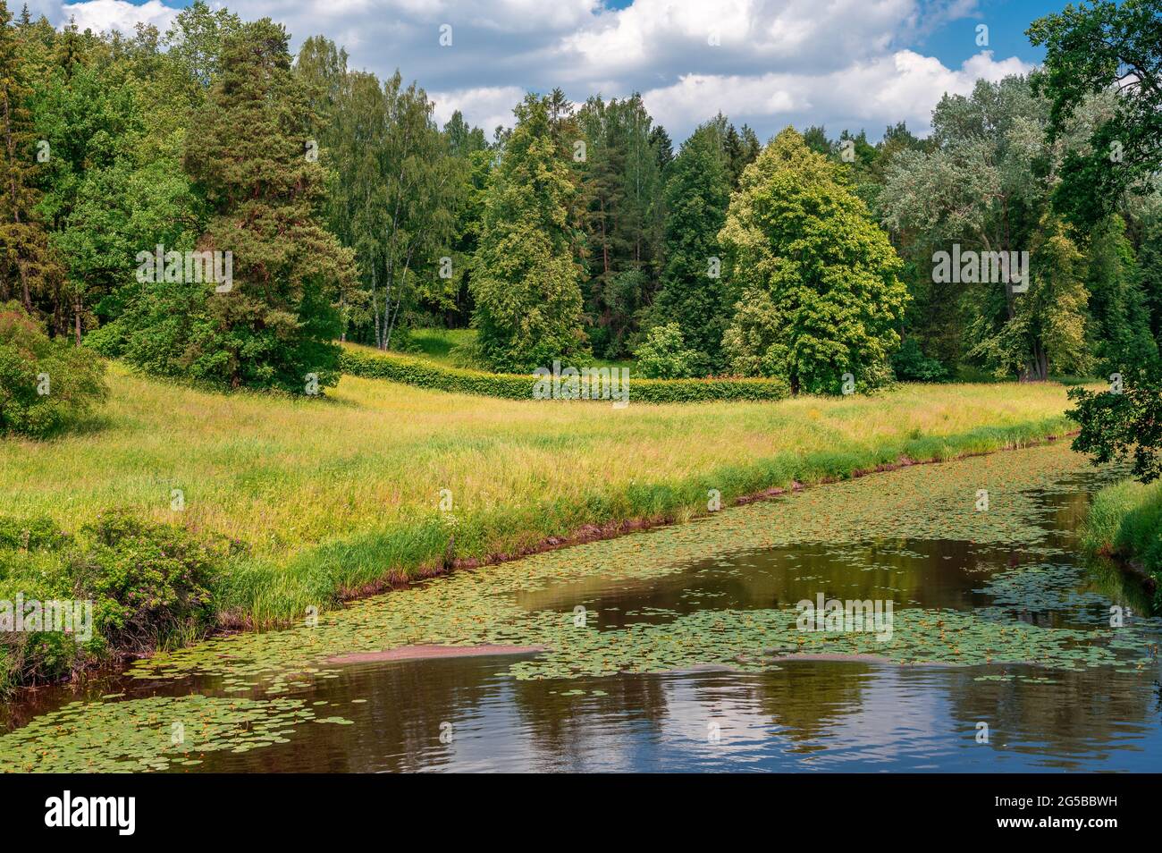 Summer green countryside nature landscape. Green nature landscape ...