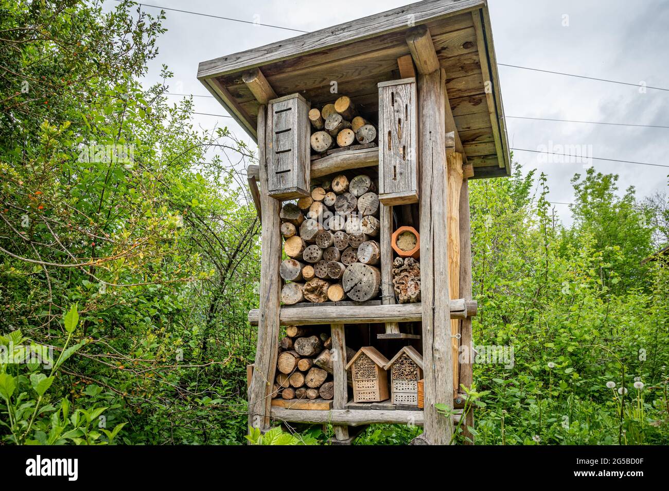 Wooden insect house in the garden. Bug hotel in natural environment ...