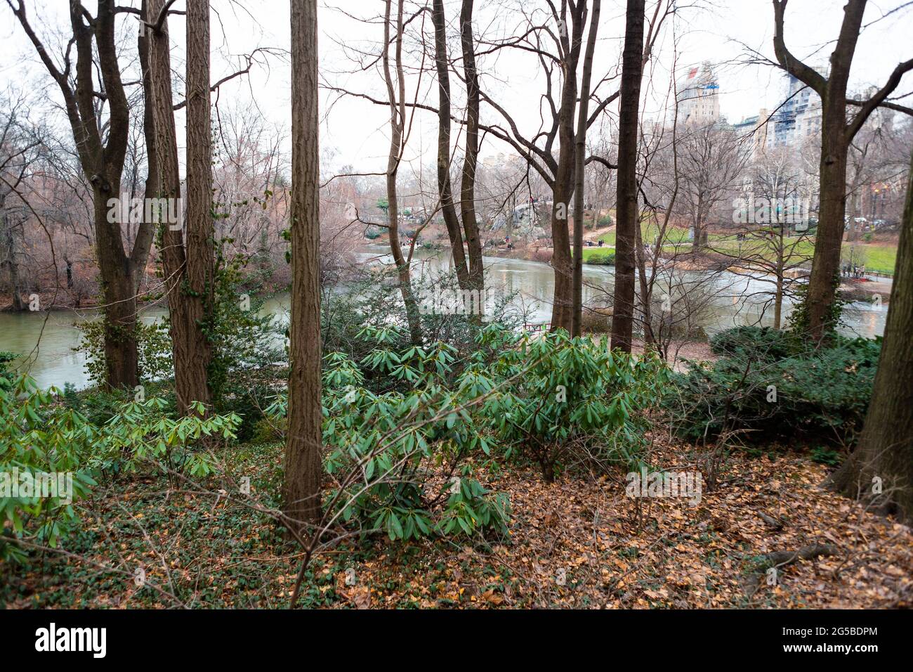 Central park ravine new york hi-res stock photography and images - Alamy
