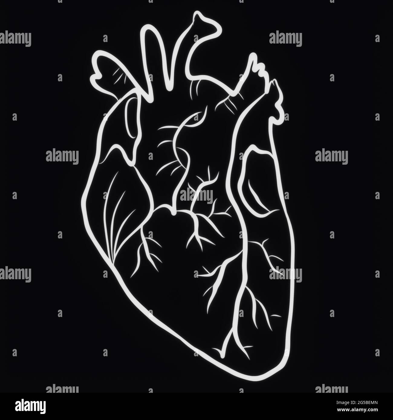 Beautiful illustration drawing of human heart Stock Photo - Alamy