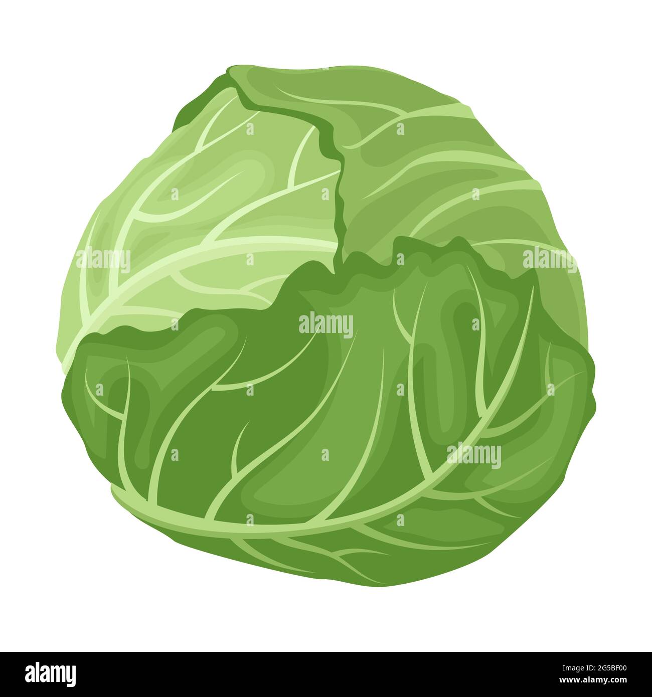 Cartoon vector illustration isolated object fresh food vegetable ...