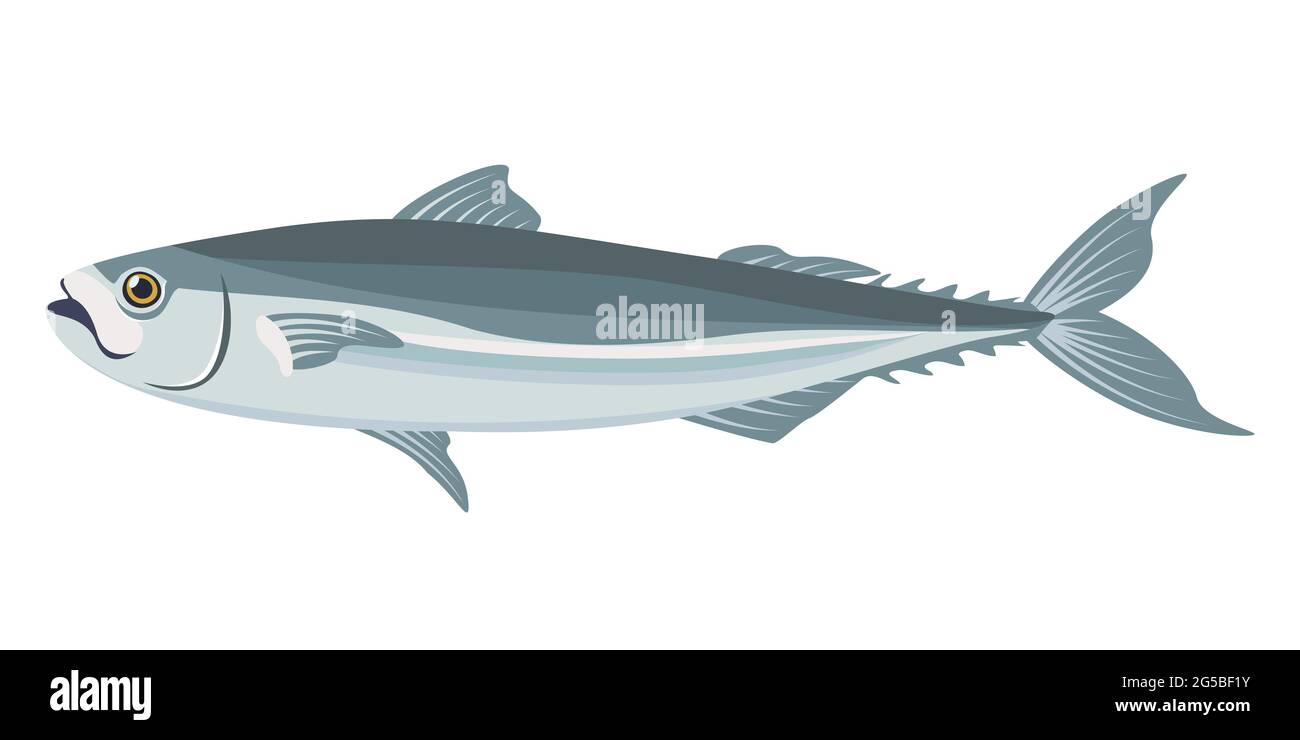 Cartoon vector illustration isolated object fresh food fish Stock ...