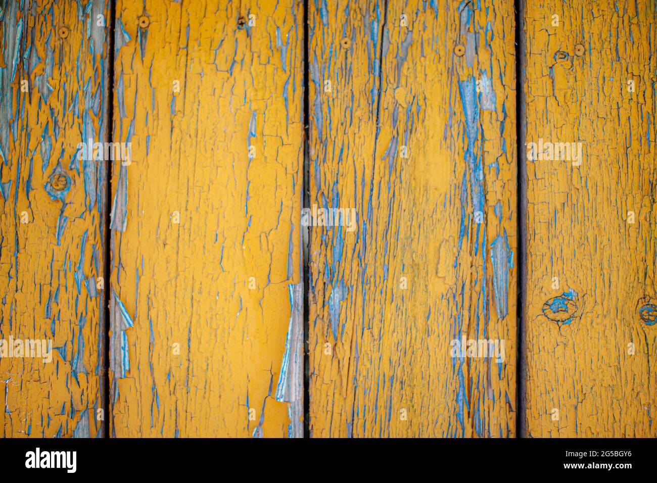 Wood texture with yellow flaked paint. Peeling paint on weathered wood ...